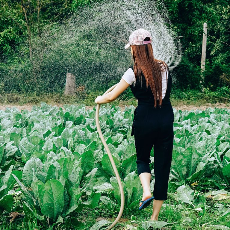 Clean Water Inter – Clean Water Inter